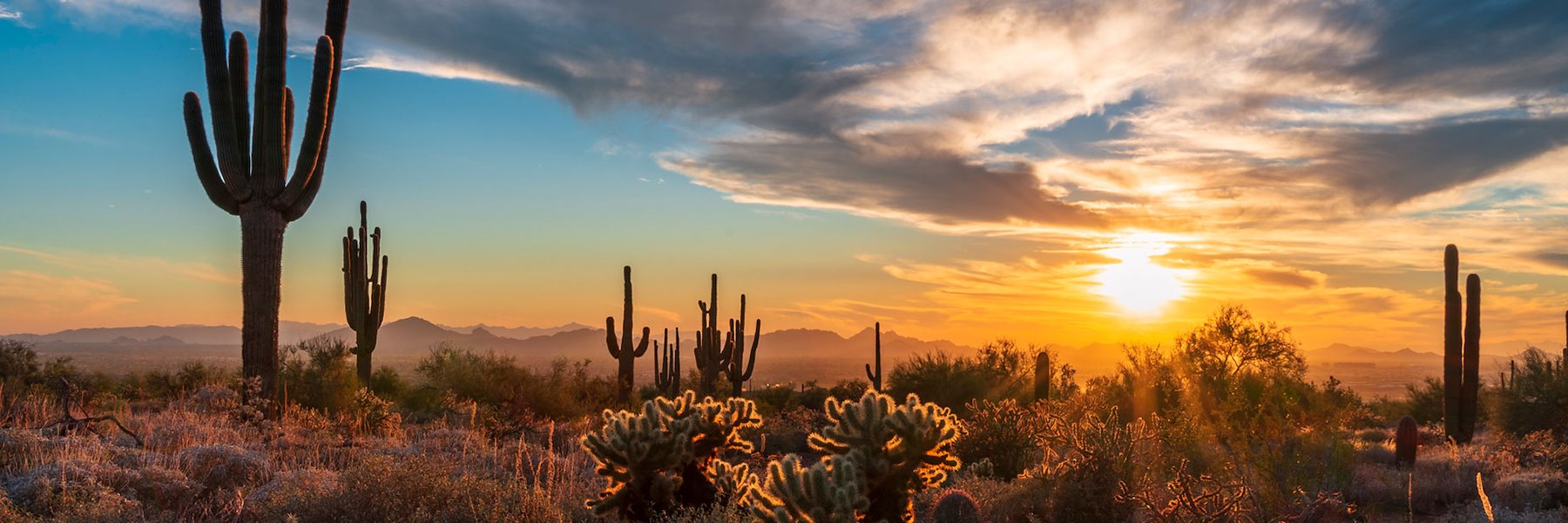 Arizona Inn's Exclusive Seasonal Special Offers