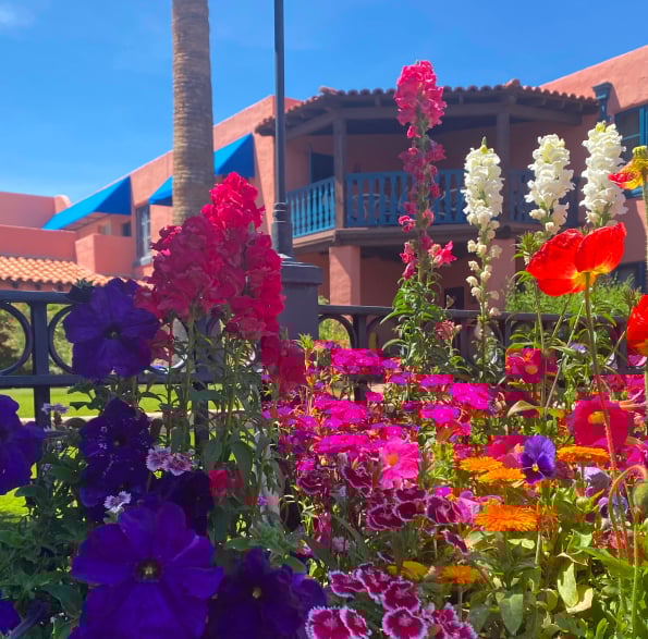 Hotels in Tucson, AZ - Arizona Inn